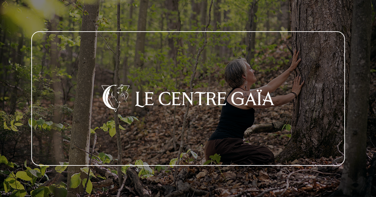 Blogue | Le Centre Gaia